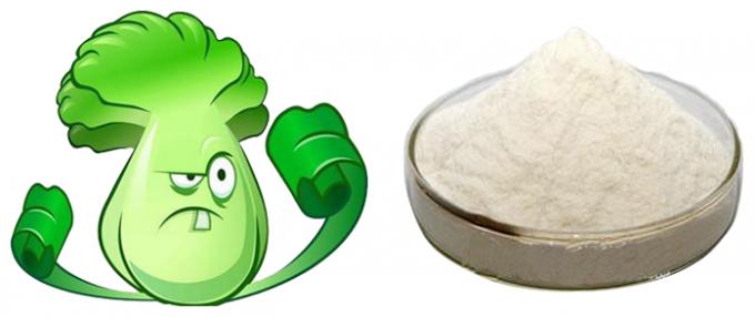 Chitin Food And Feed Additives Chitosan Powder CAS 9012-76-4